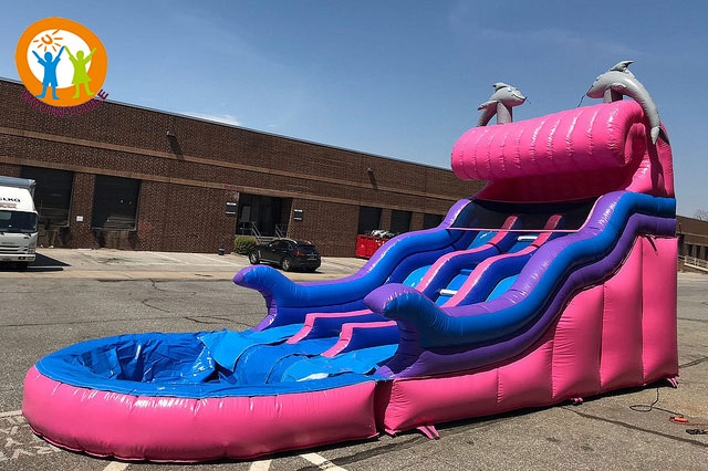 WW146 15ft Dual Lane Dolphin Inflatable Water Slide with Poolinflatable ...